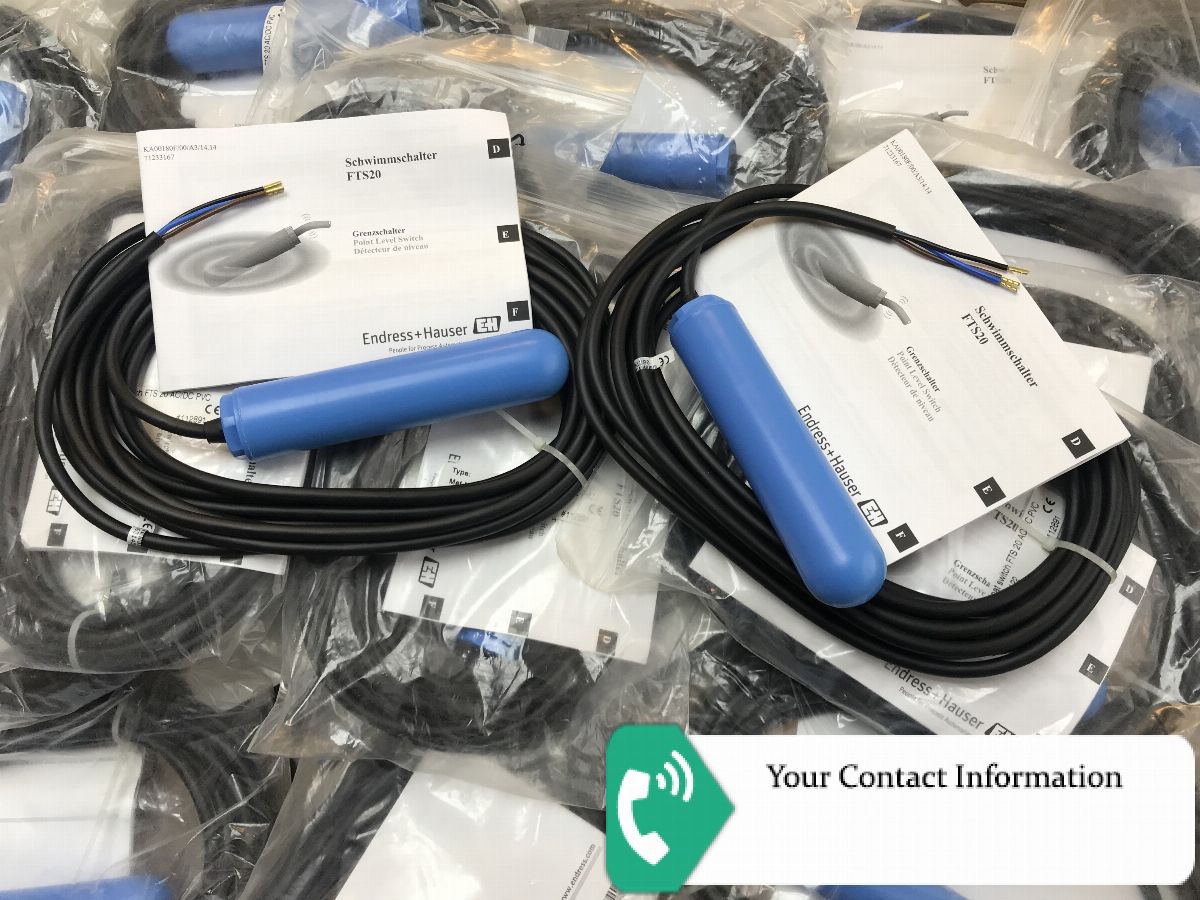 Level FTS 20 Endress+Hauser