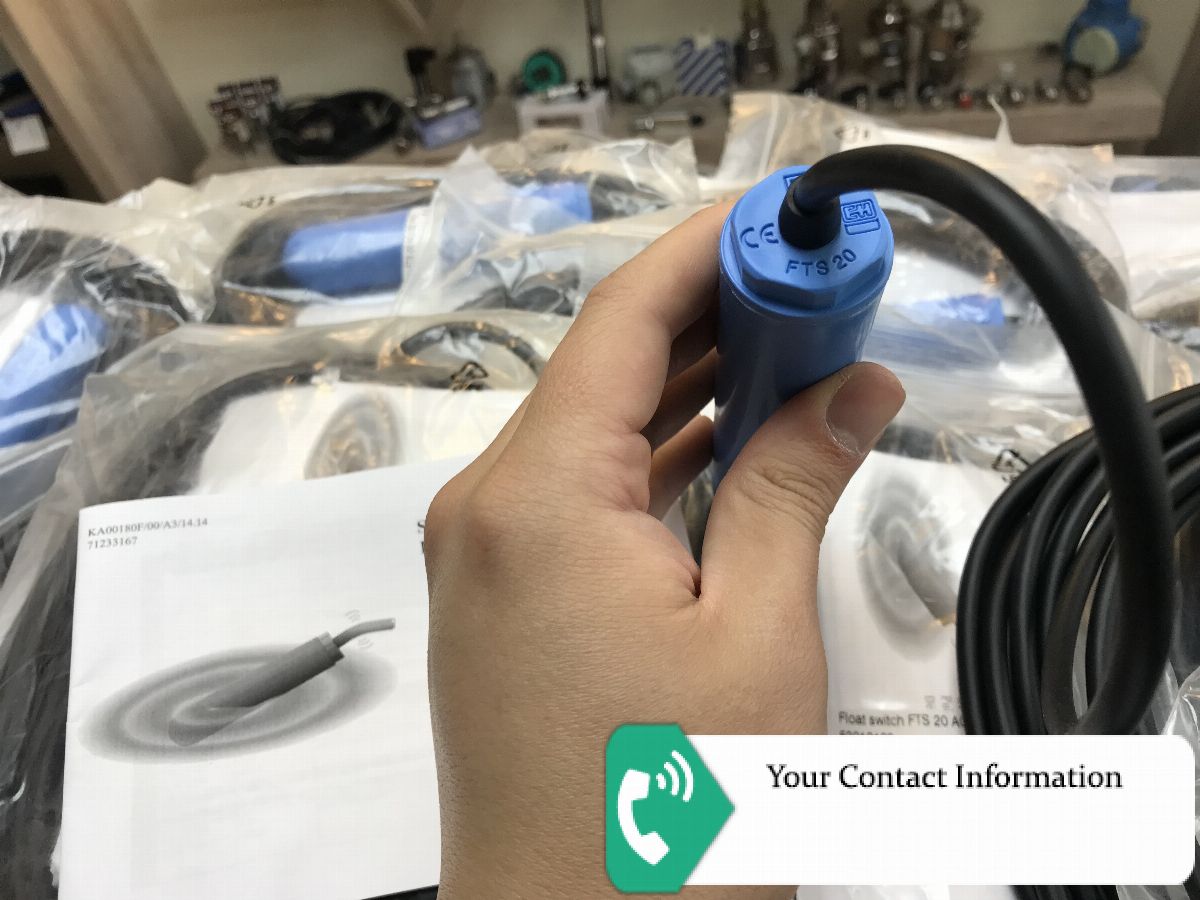 Level FTS 20 Endress+Hauser